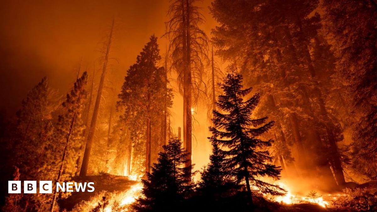 Climate change: Storm clouds gather after COP26 - BBC News
