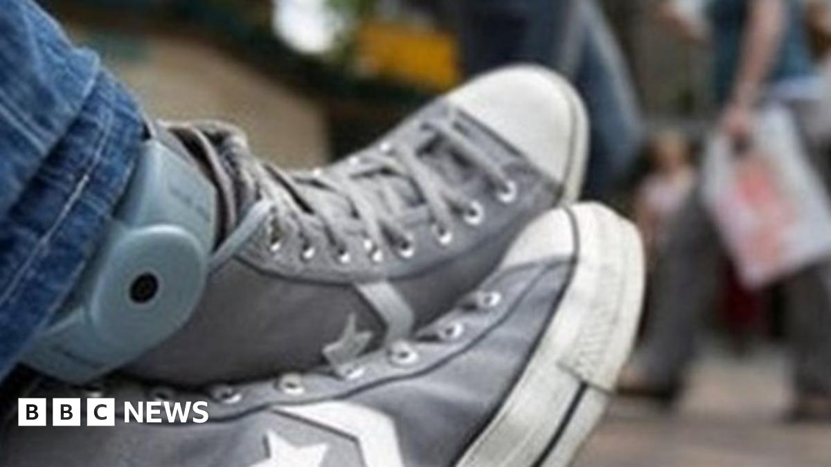 'Dog ate my tag' claims Lisburn burglary suspect Jamie Toland - BBC News