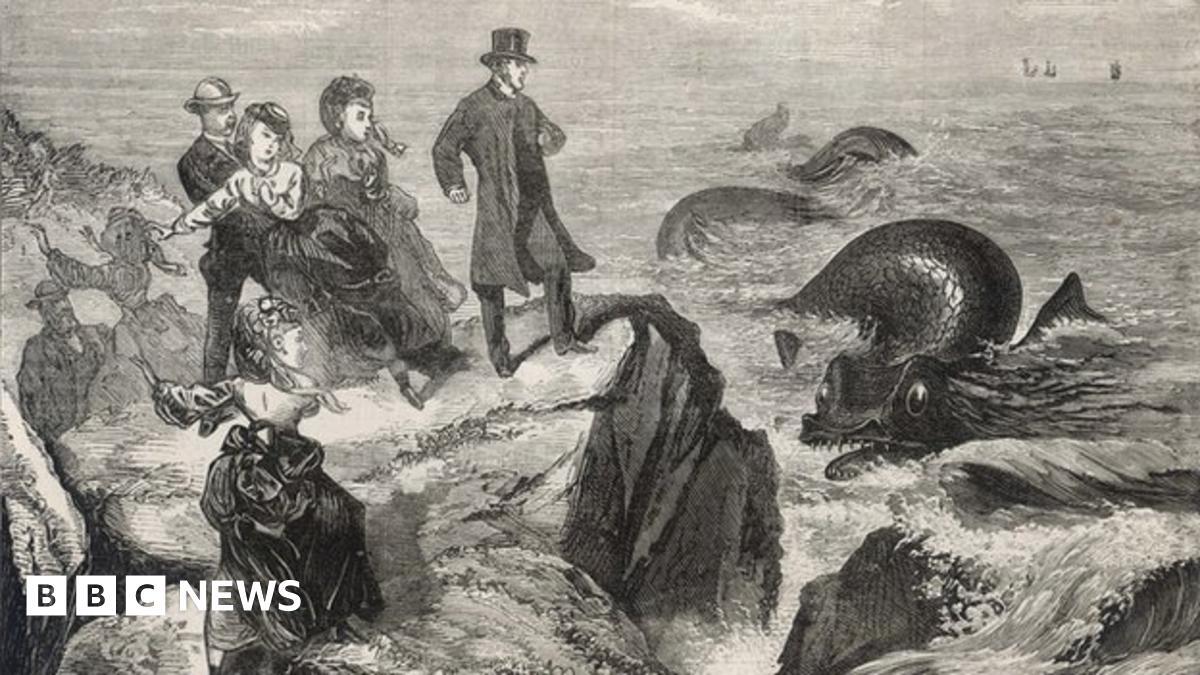 Picture of Irish sea monster surfaces in London image archive - BBC News