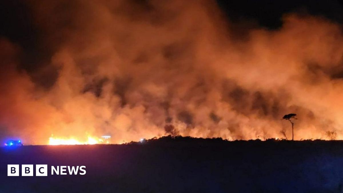 Holt Heath: Firefighters tackle huge blaze at nature reserve - BBC News