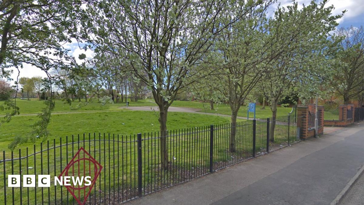Toddler in hospital after Bootle park dog attack - BBC News