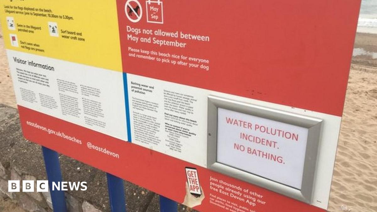 South West beach pollution alerts issued to swimmers - BBC News