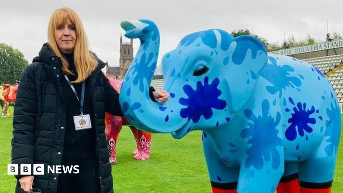 Worcester elephant hospice fundraiser targeted by thieves - BBC News