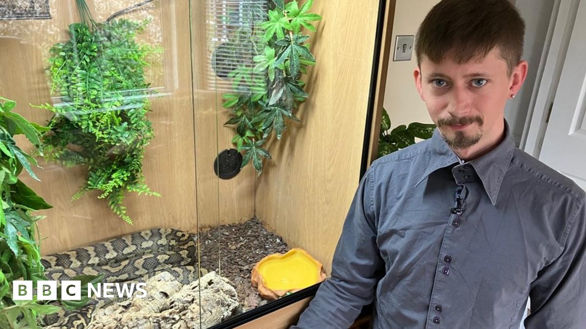 Blackwater python: Snake catcher says police appeal python found dead ...