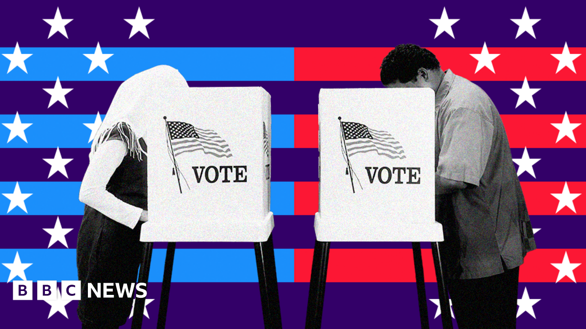 What is the US electoral college, and how does it work? - BBC News