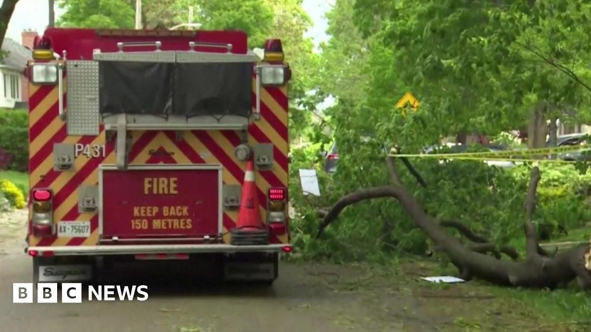 Canada storms: Nearly a million homes lose power in high winds - BBC News