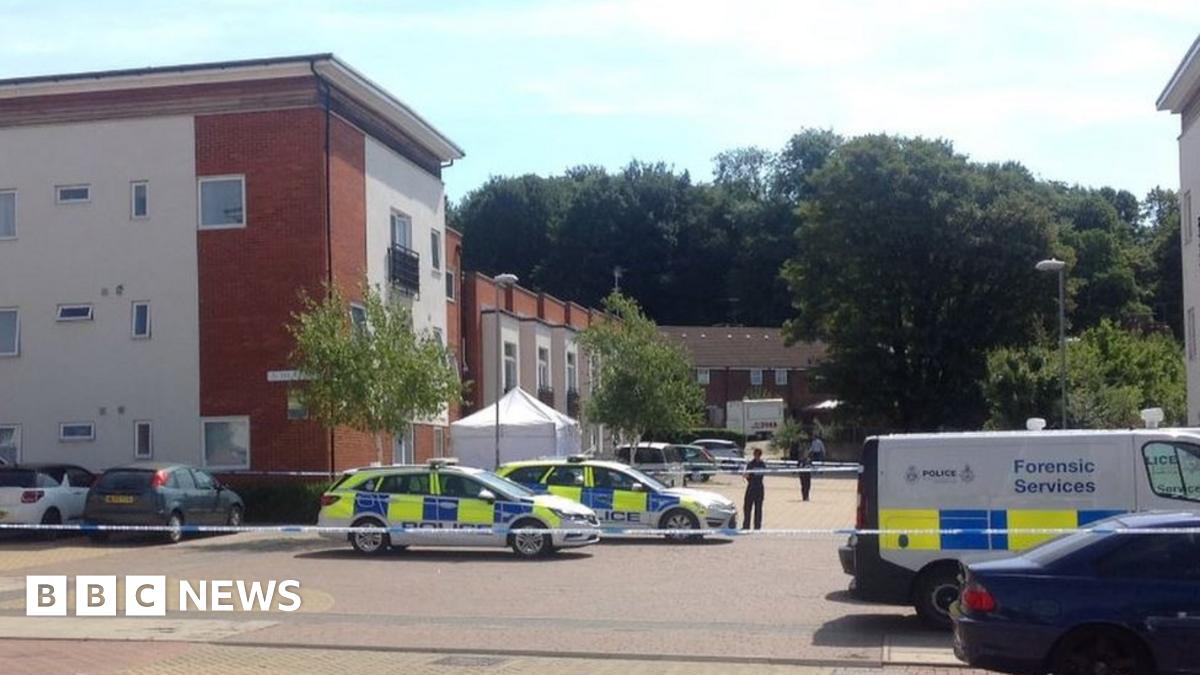 Ipswich murder-suicide: Wife 'had 28 knife wounds' - BBC News