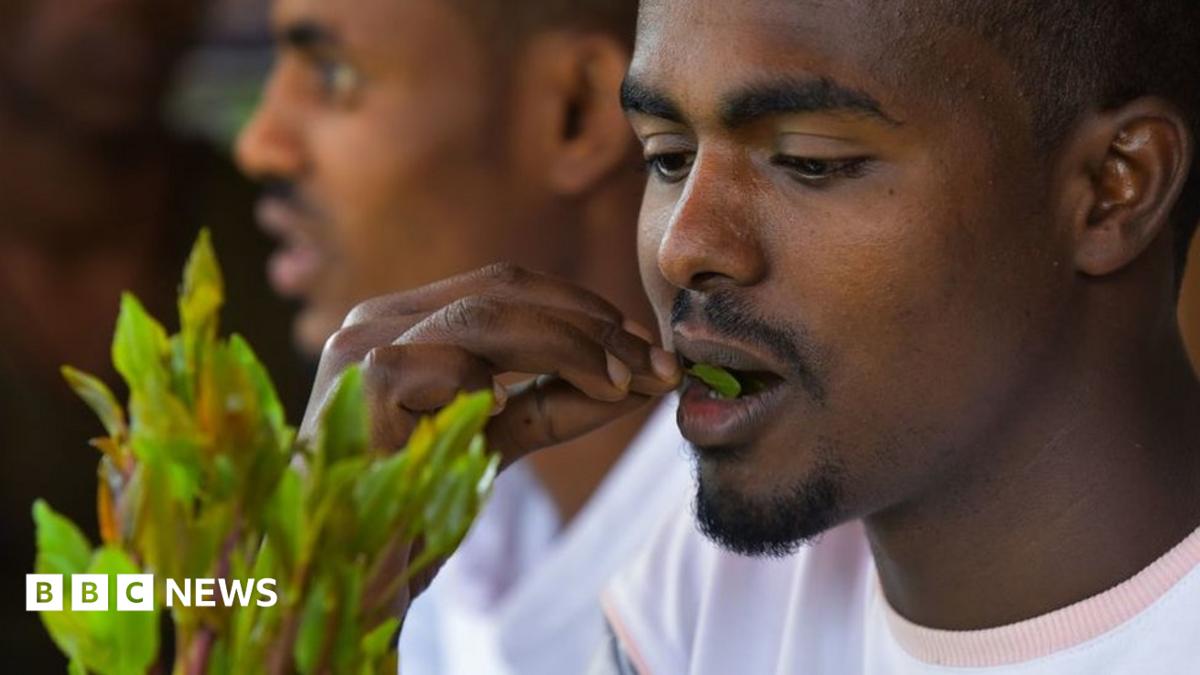Africa Live this week: 6-12 June 2022 - BBC News