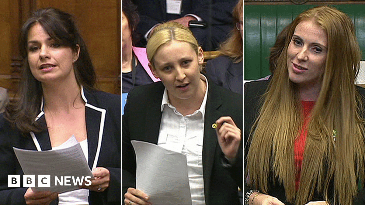 Seven of the most memorable maiden speeches this Parliament - BBC News