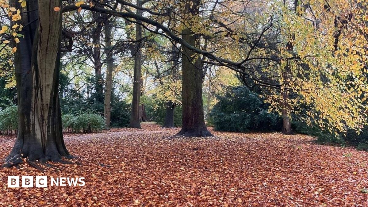 England's Big Picture: 14 November - 20 November 2022 - BBC News