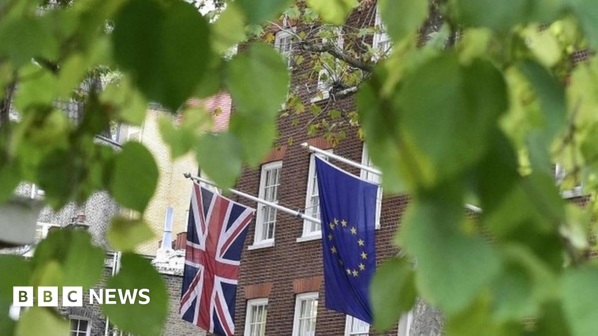 Top Tory aide joins firm working for pro-EU campaign - BBC News