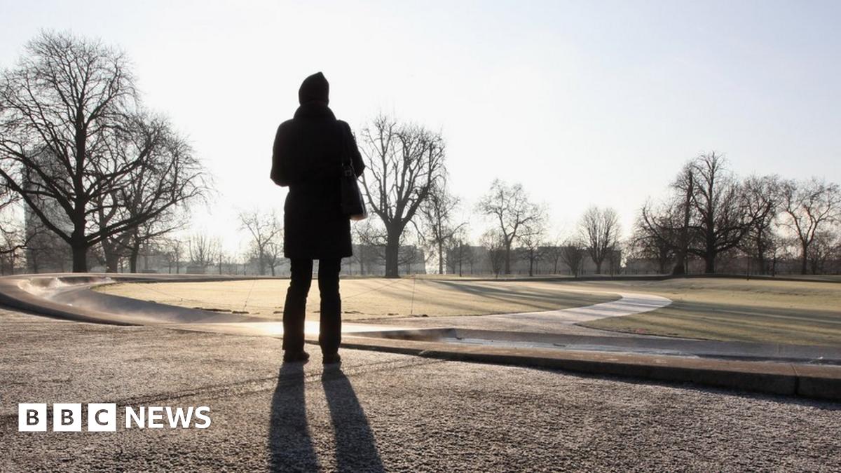 What happens when you're deported to Britain? - BBC News