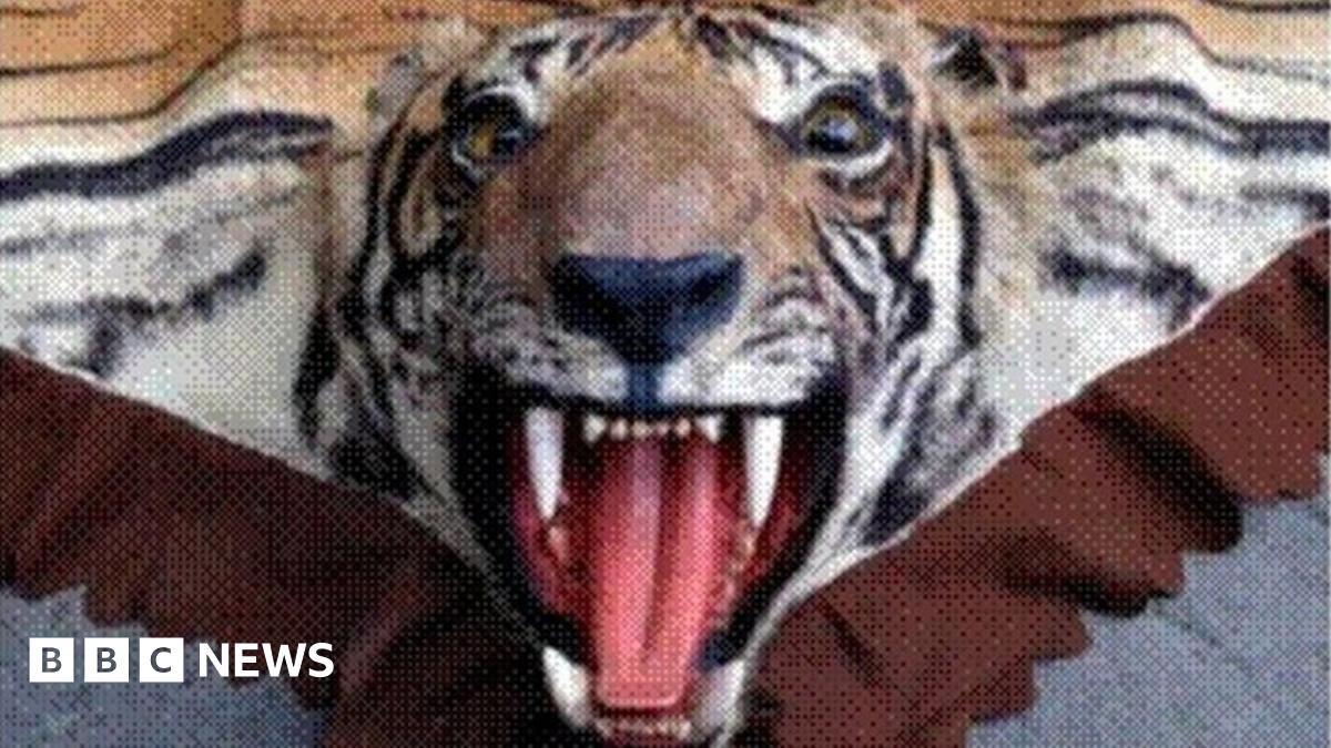Trader sold 'extinct' tiger skin rugs on eBay - BBC News