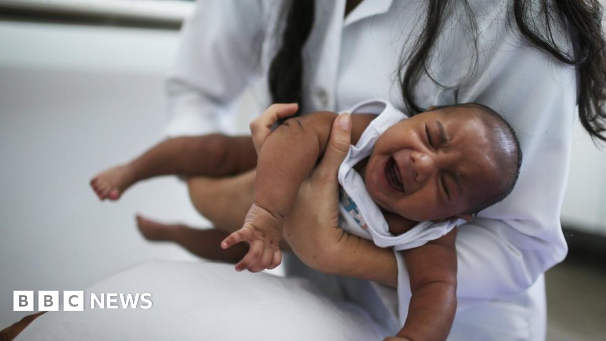 Zika and microcephaly link confirmed "in weeks" says WHO - BBC News