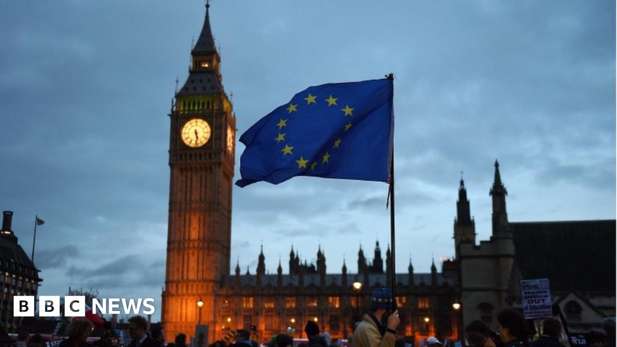 Brexit: Article 50 has been triggered - what now? - BBC News