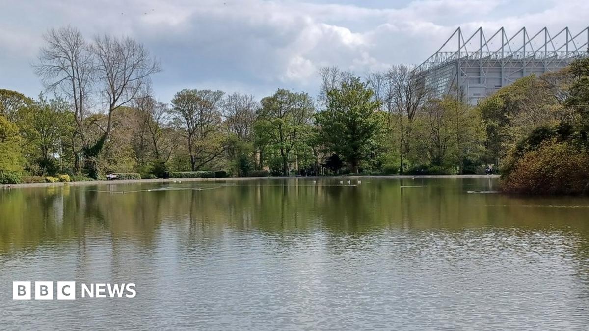 Fears over safety at Newcastle Leazes Park lake - BBC News