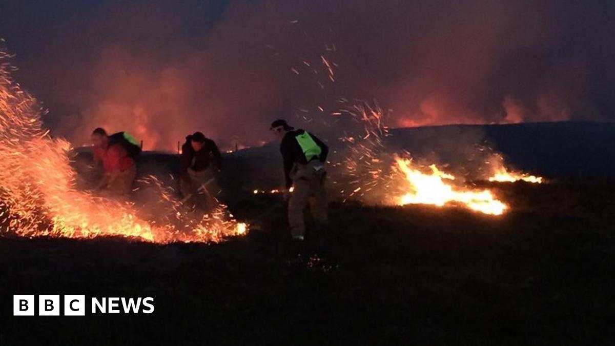 International experts join NI wildfires investigation - BBC News