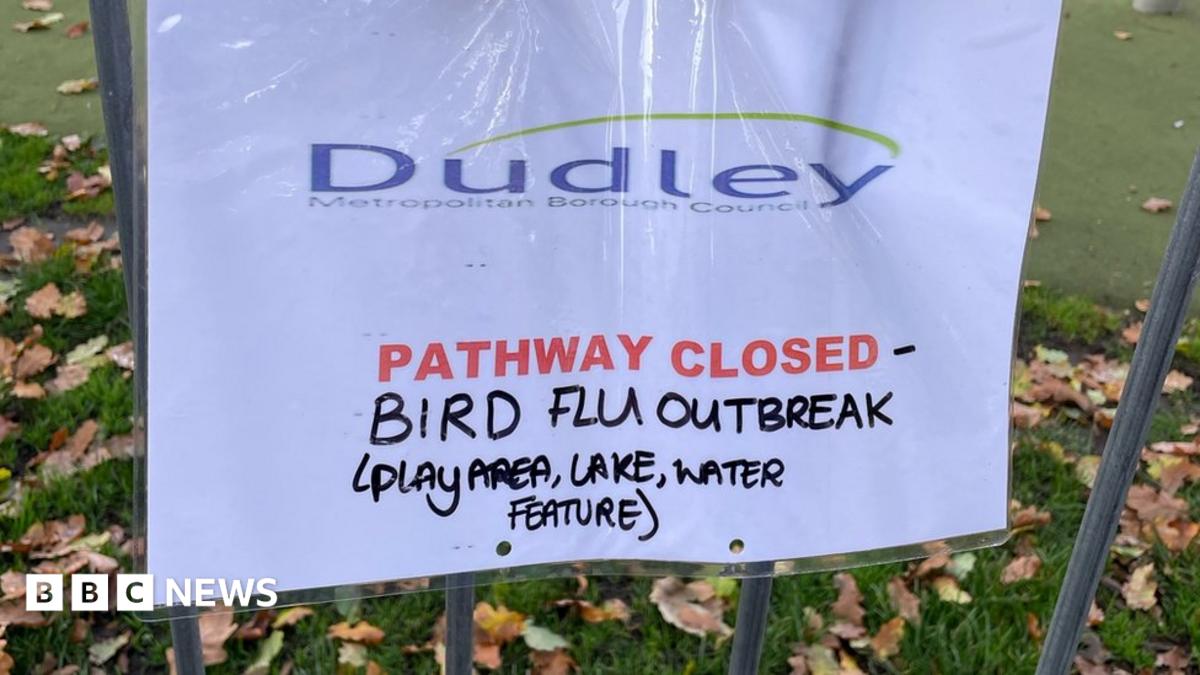 Dudley: Avian flu outbreak confirmed after dead birds found - BBC News