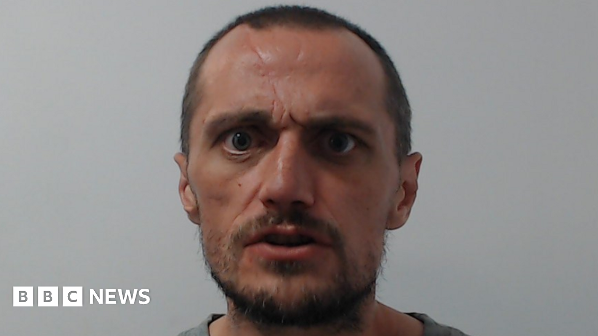 Labradoodle thief jailed for Donald Patience strangle murder - BBC News