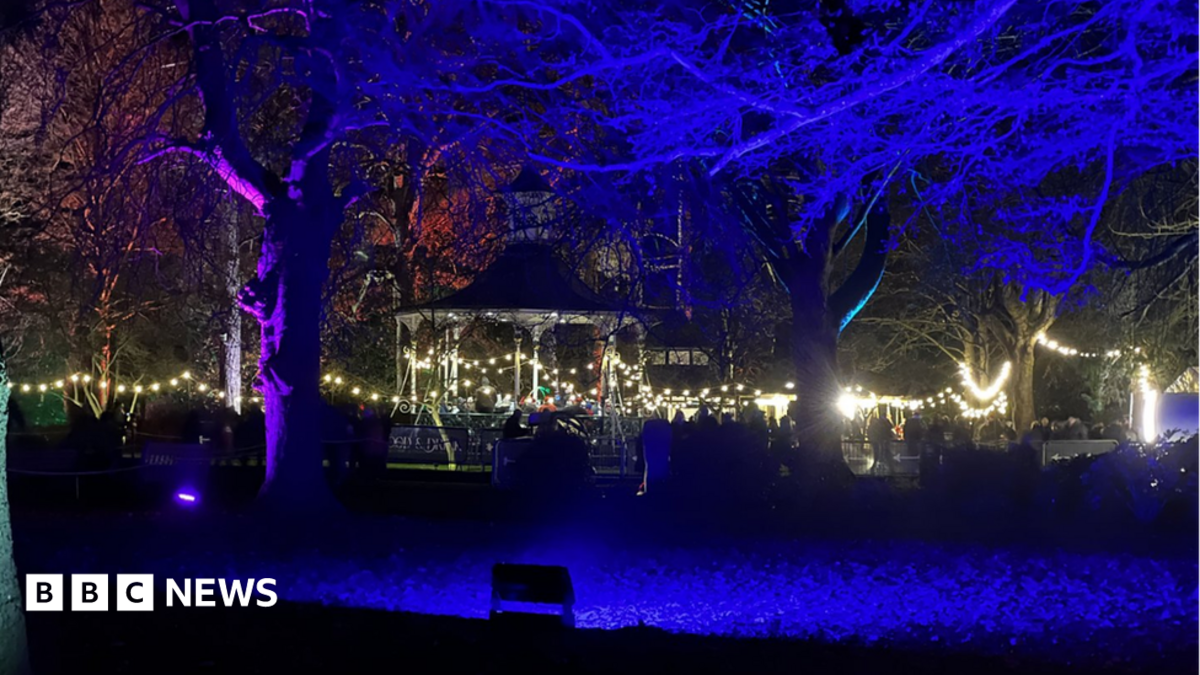 Swindon Old Town Gardens illuminated by Christmas light trail - BBC News