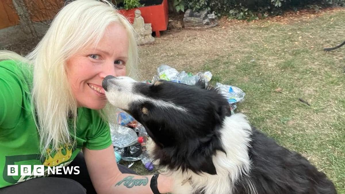 Nuneaton's Scruff paw-ses to fetch hundreds of bottles off street - BBC ...