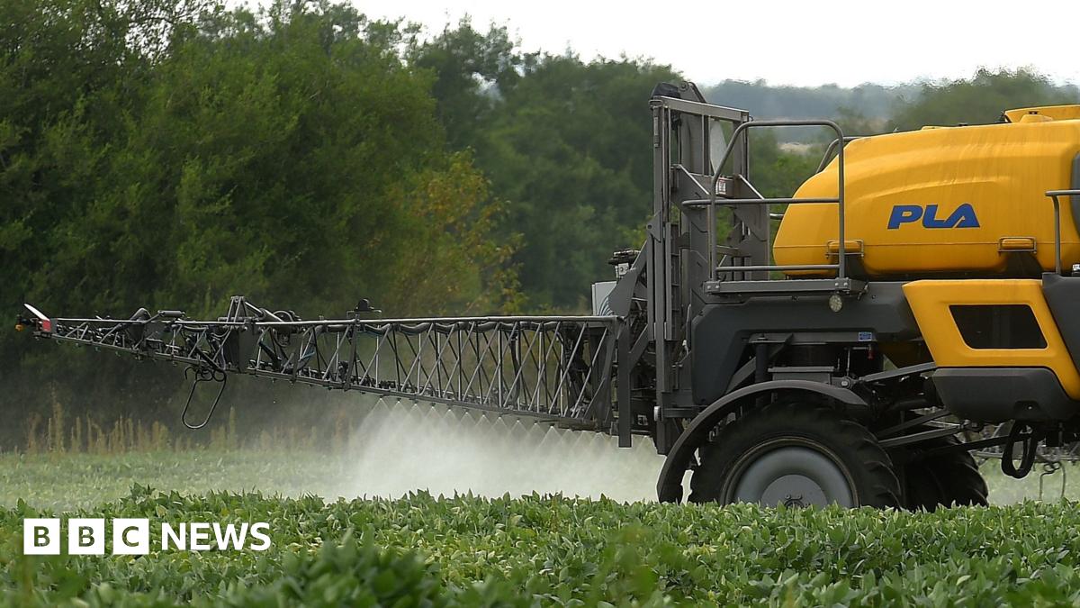 Monsanto ordered to pay $289m damages in Roundup cancer trial - BBC News