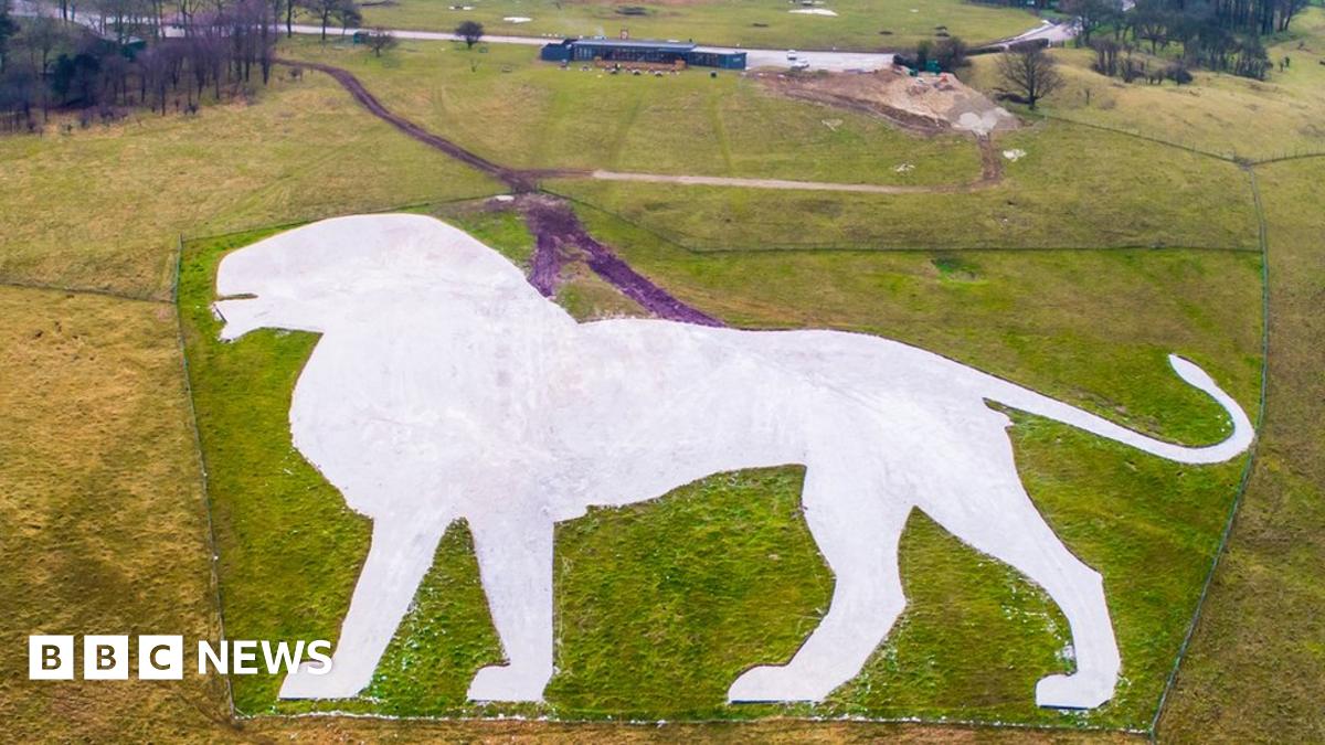Whipsnade Zoo's giant hillside lion makeover completed - BBC News
