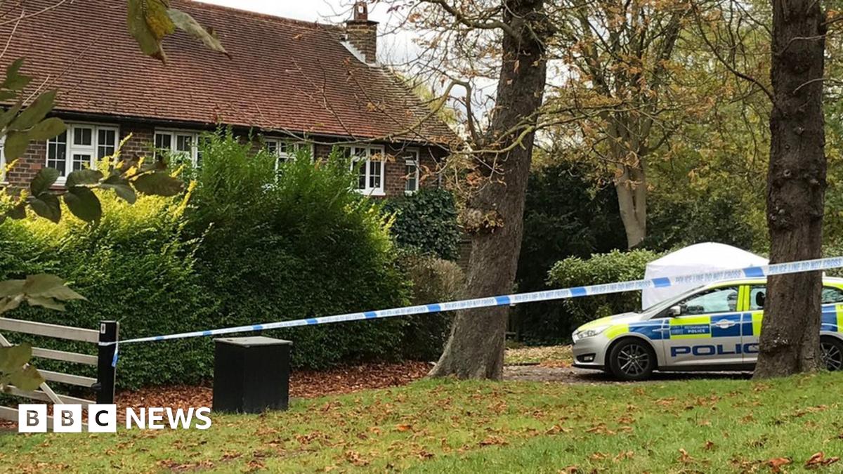 Hendon stabbing: Natasha Welsh faces husband murder charge - BBC News