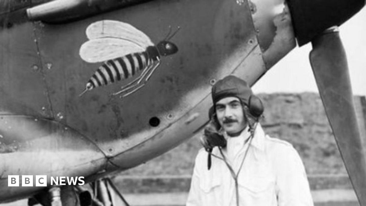 Sawley: Plaque for World War Two pilot who survived mid-air crash - BBC ...