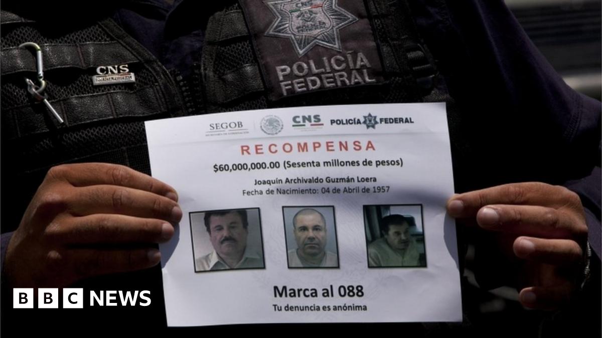 'El Chapo' escape: Prison chiefs 'among 13 new arrests' - BBC News