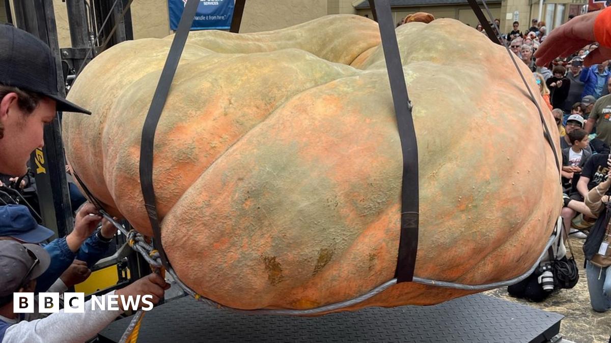 Pumpkin weighing 2,749lb squashes world record - BBC News