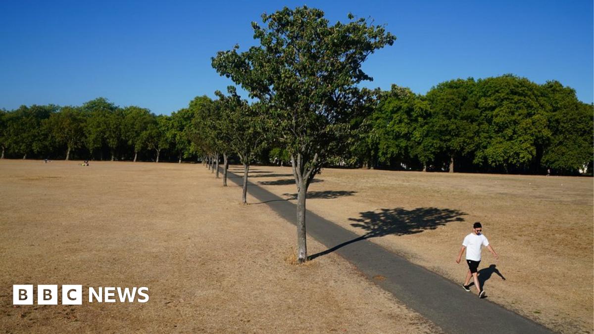 Health alert system aims to cut heatwave deaths - BBC News