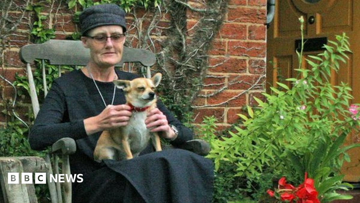 A hermit's Christmas: Simplicity, solitude and silence - BBC News