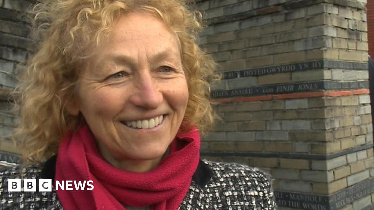 Profile: New Shadow Welsh Secretary Christina Rees - BBC News