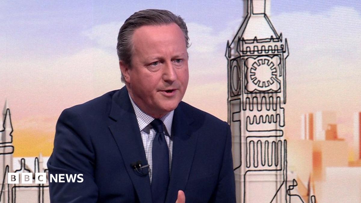 Foreign Secretary David Cameron quizzed on Gaza and sending arms to ...