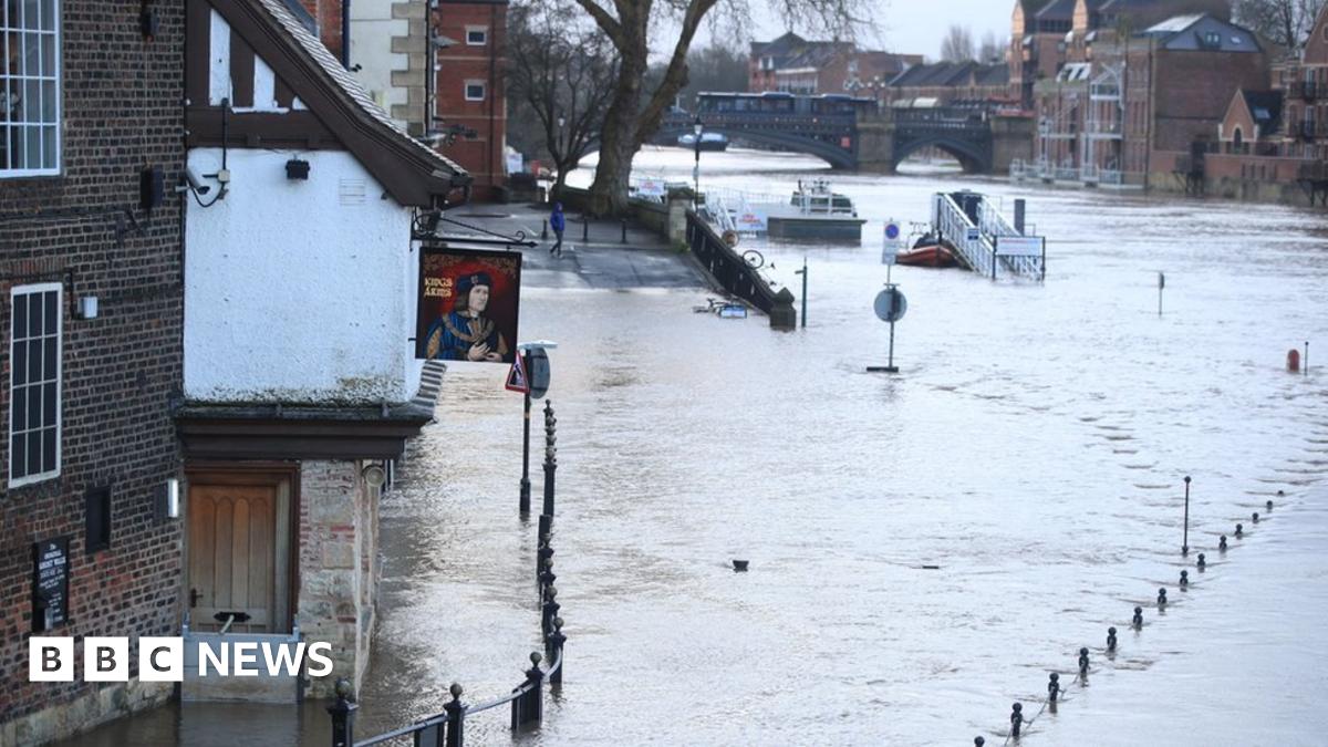 Storm Ciara: Man dies after tree falls on car during gales - BBC News