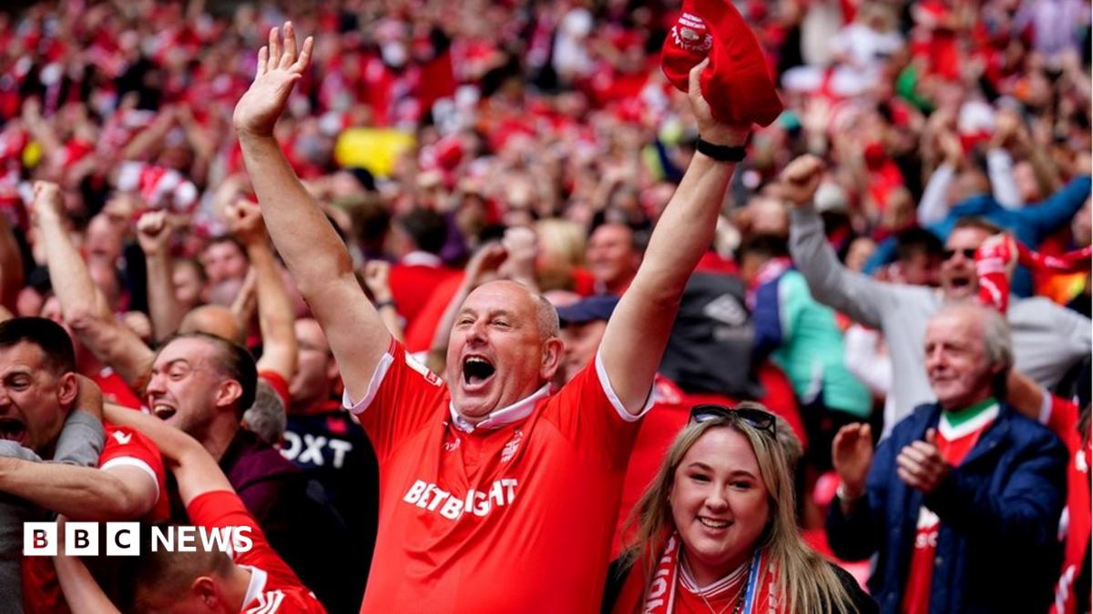 Nottingham Forest promoted: 'It's like walking in a dream' - BBC News