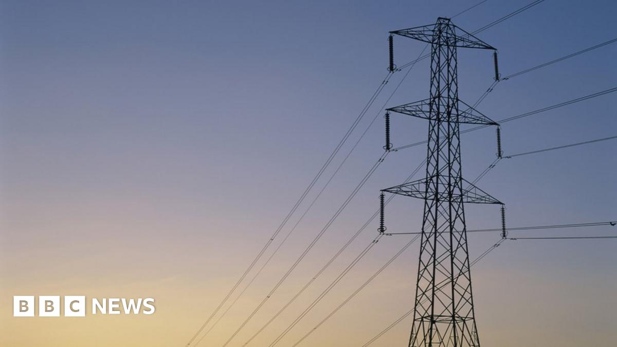Power firm urged to have 'open mind' on power line upgrade - BBC News