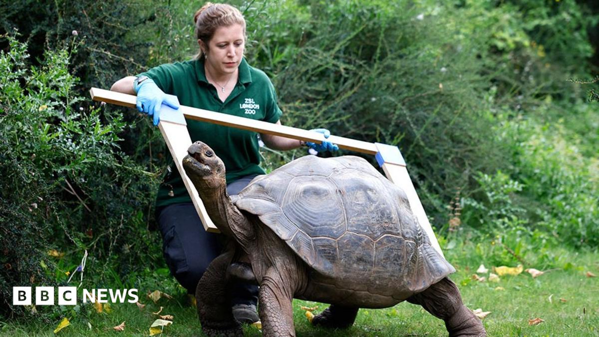 Week in pictures: 21 - 27 August 2021 - BBC News