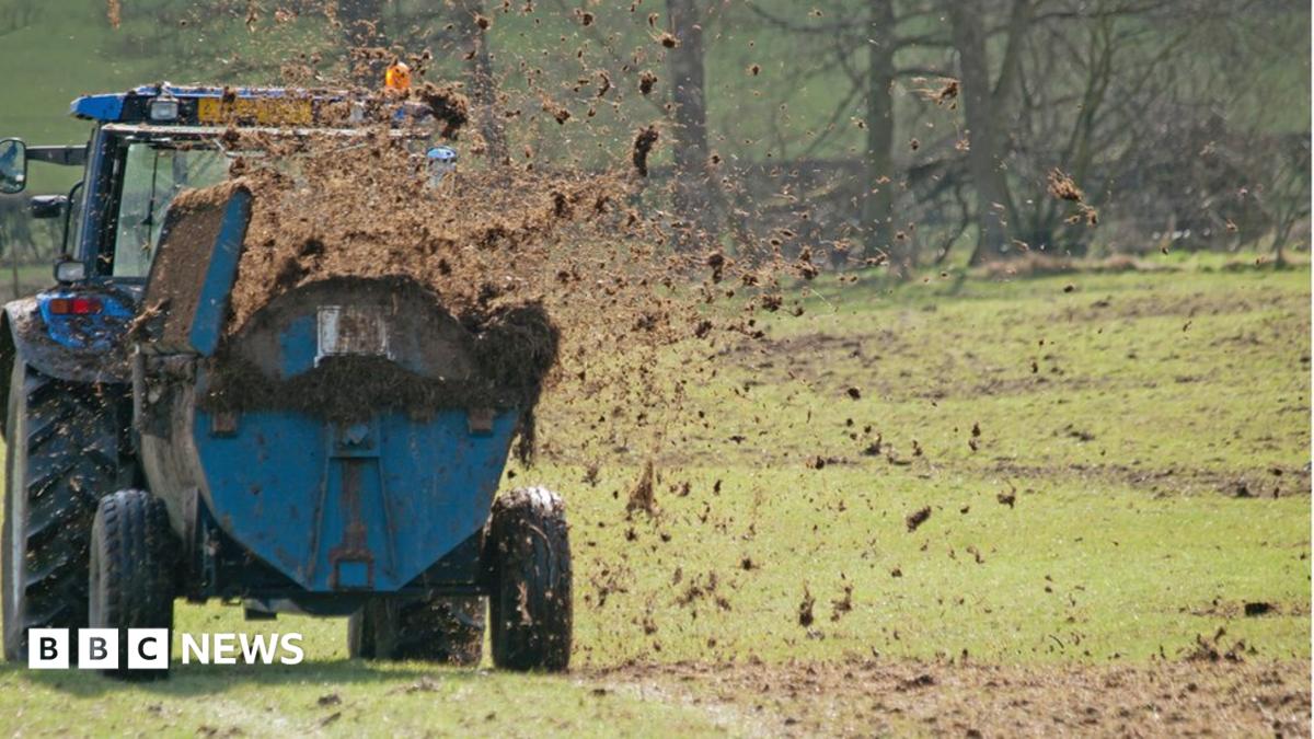 Farming: New Welsh rules on reducing river pollution delayed - BBC News