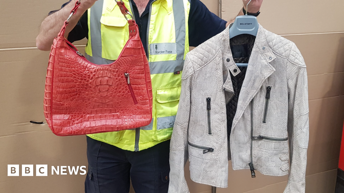 Border Force seize big cat body parts and crocodile blood - BBC News