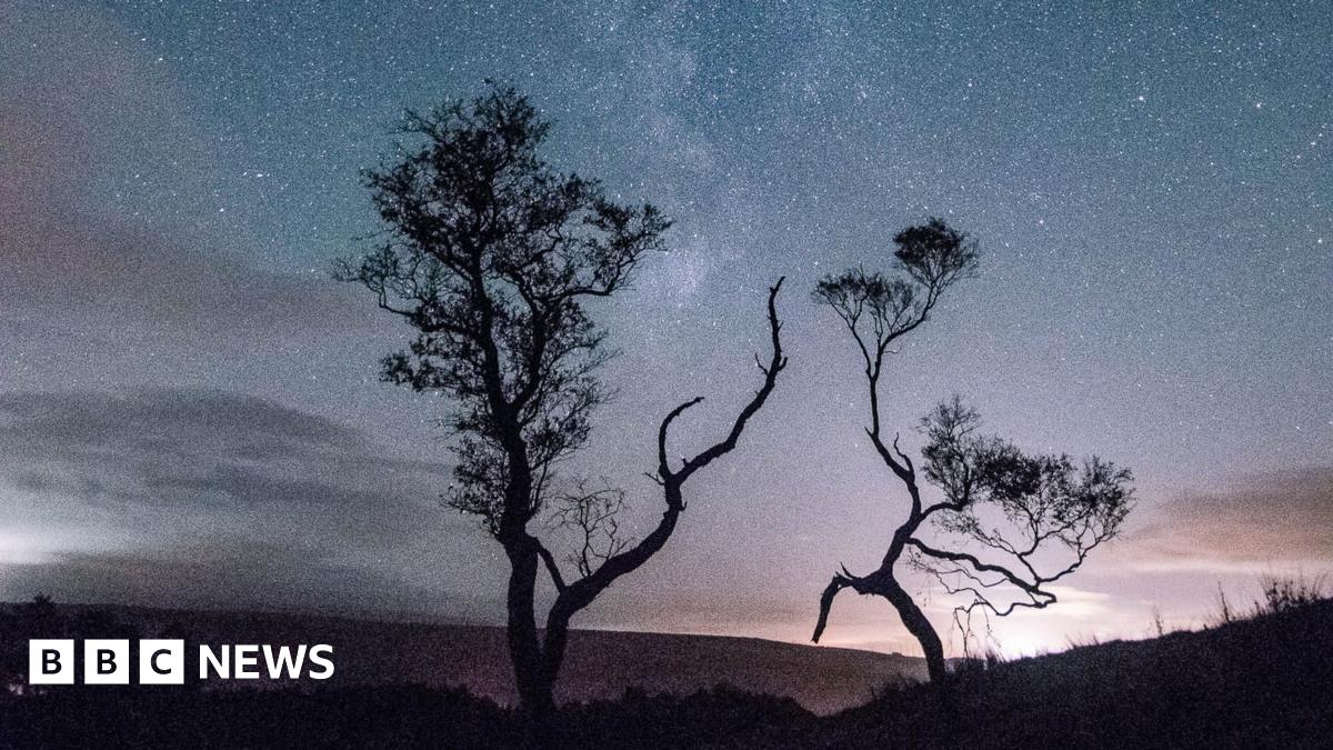 Winners announced for north-east England photography award - BBC News