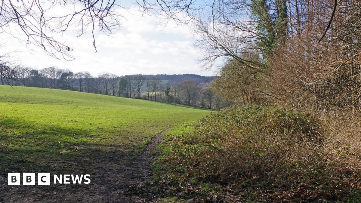 Chilterns Area of Outstanding Natural Beauty could expand - report ...