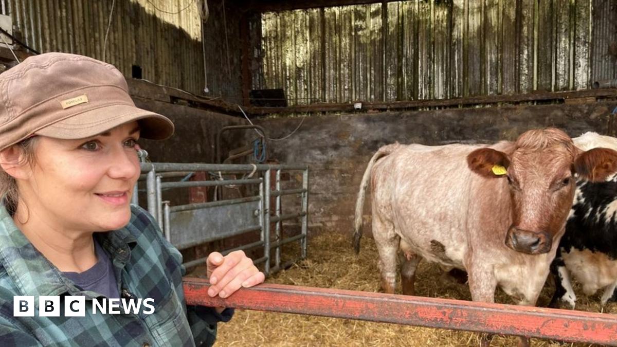 NI agriculture: 'I just totally fell in love with the family farm ...