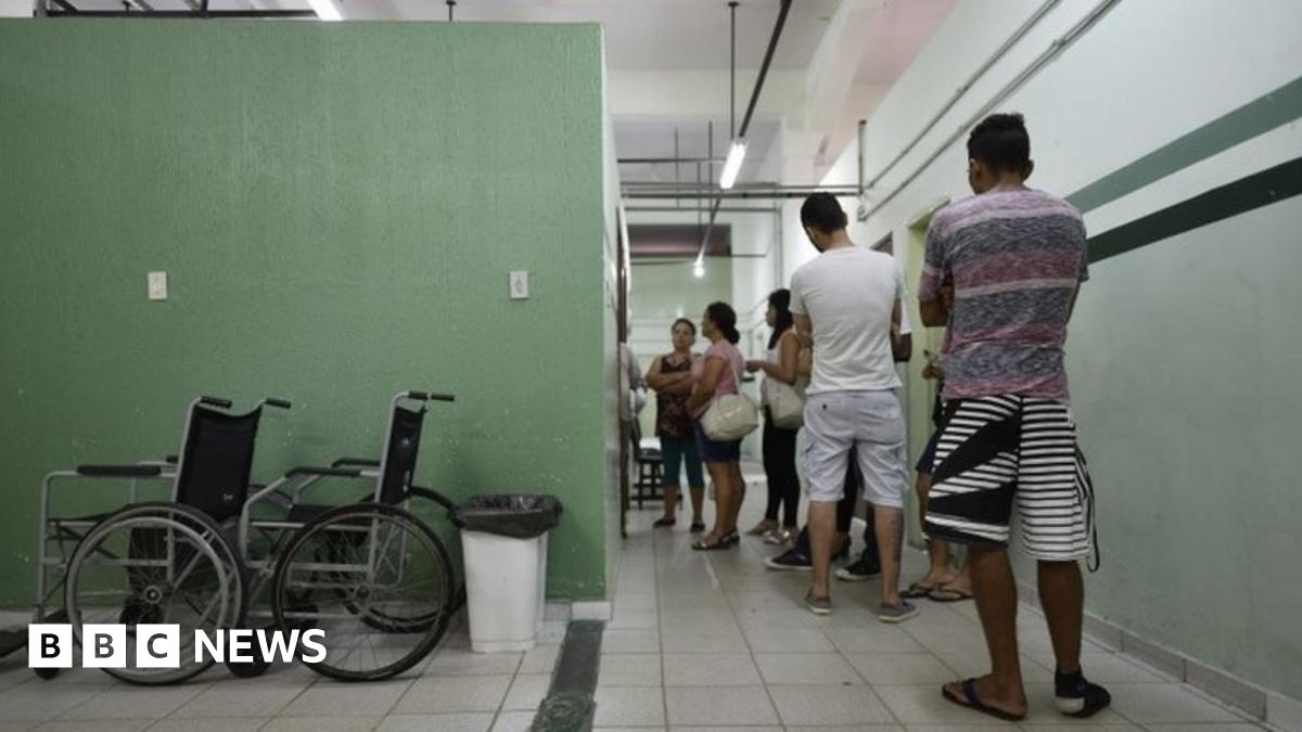 Brazil sees sharp rise in yellow fever cases - BBC News