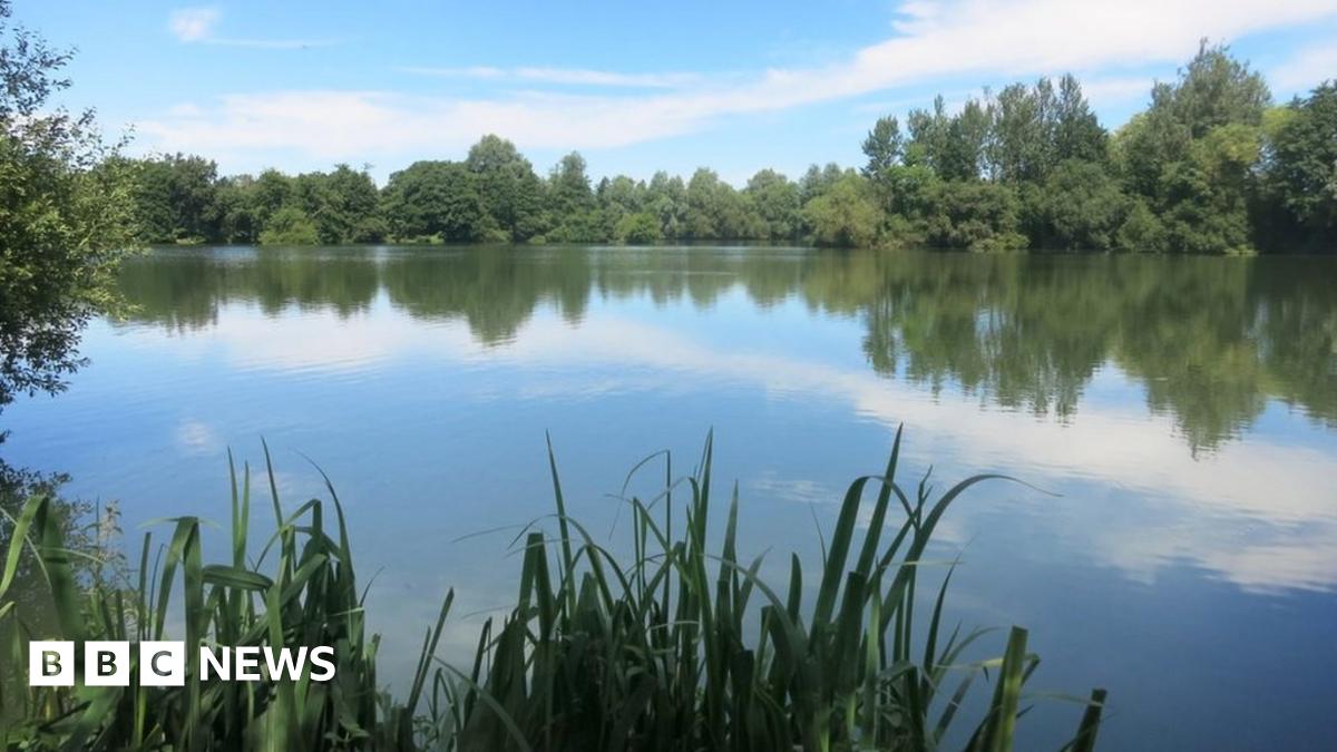 Warning lifted over bird flu at Berkshire nature reserve - BBC News