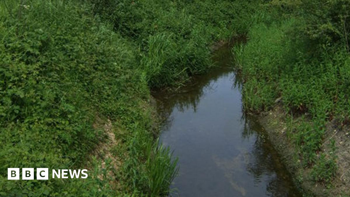 Anglian Water billed £150k for river pollution in Bedfordshire - BBC News