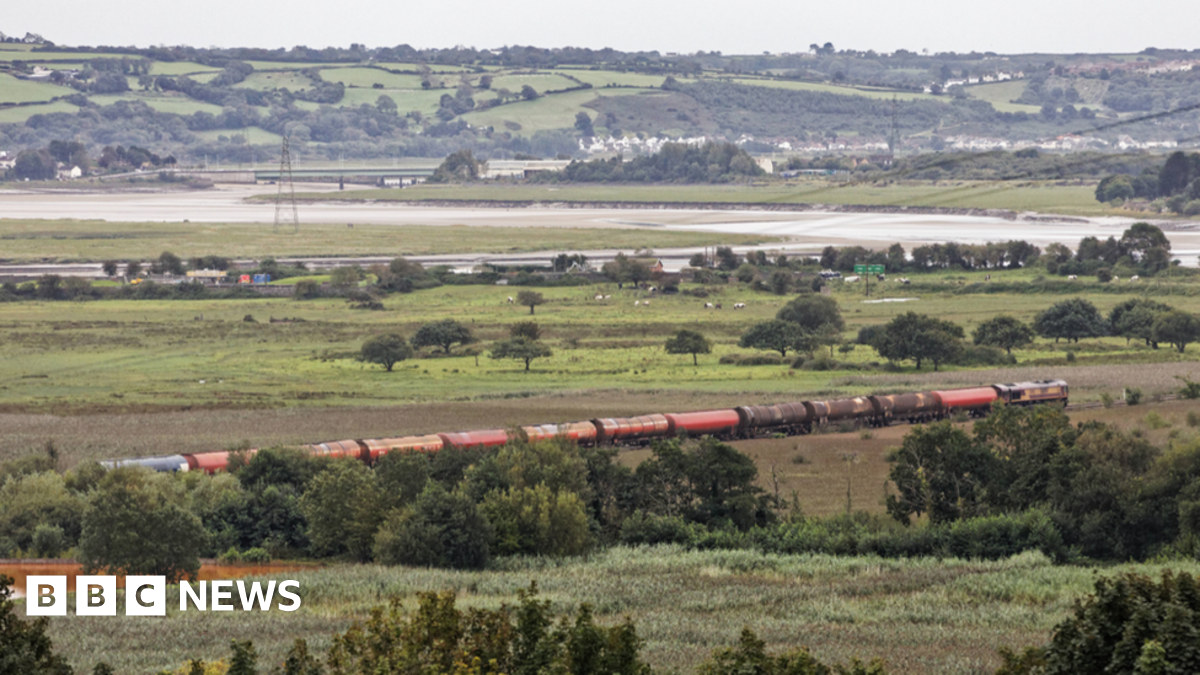 Llangennech oil spill: Cockle beds reopen after train crash - BBC News
