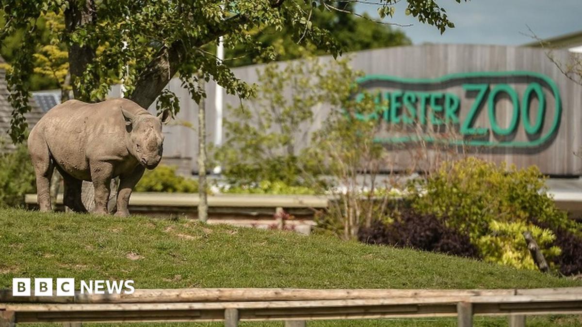 Chester Zoo: Covid funding issues threaten endangered animals - BBC News