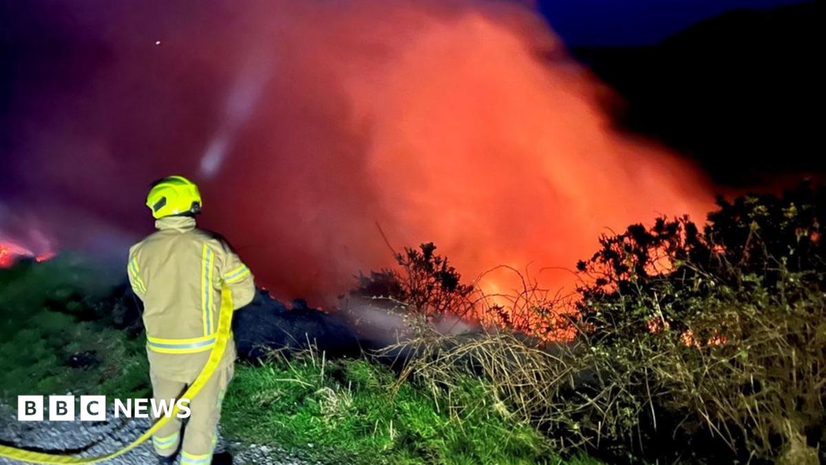 Firefighters tackle large gorse blaze at Groudle Glen - BBC News